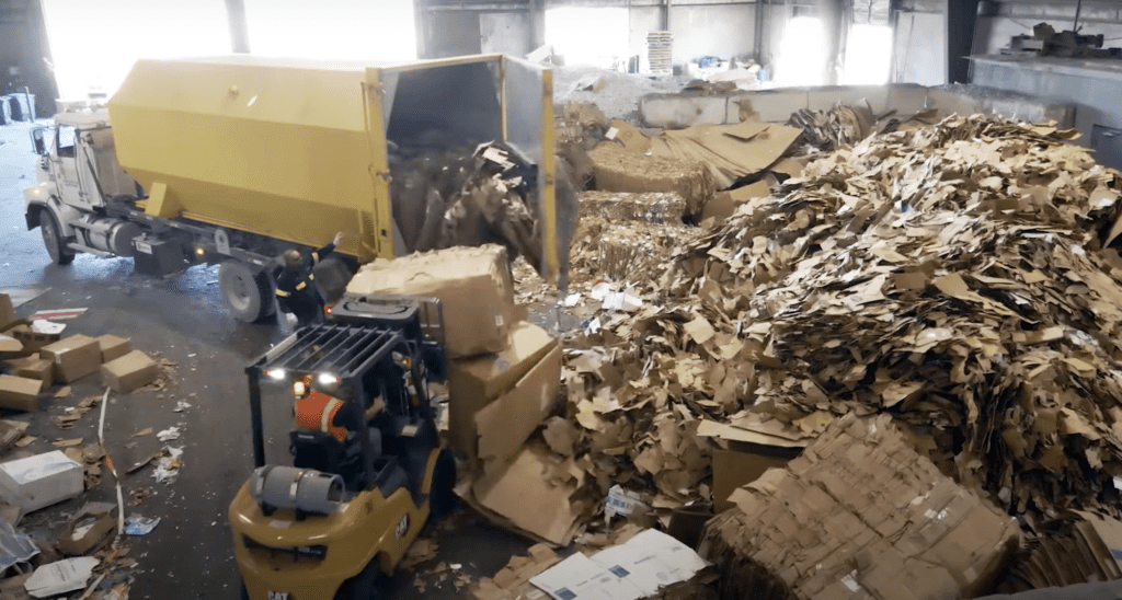 Understanding Recycling - Separating Facts from Perceptions
